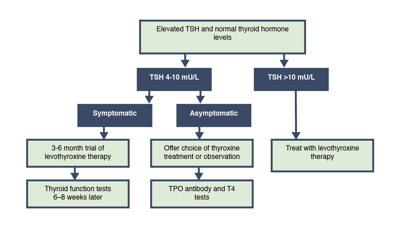 Thyroid Disorders - Hypothyroidism - Key points